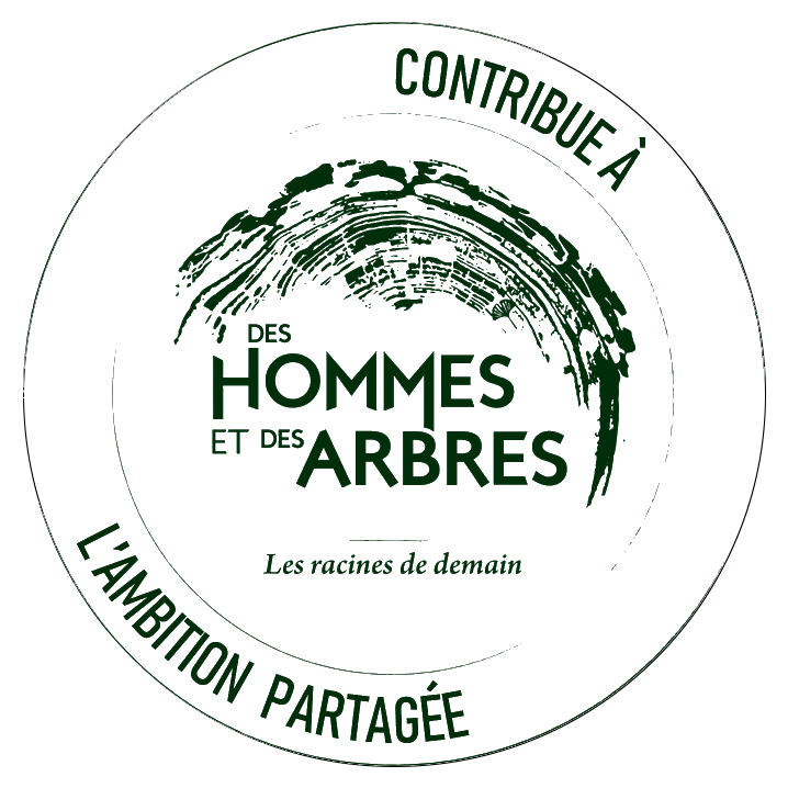 Woodchem Valley - CRITTBOIS